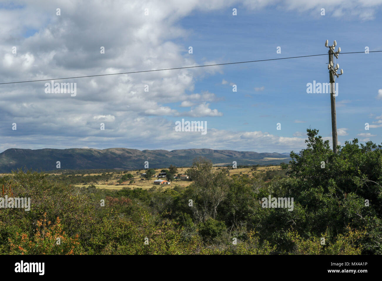Scrubland ecosystems hi-res stock photography and images - Alamy