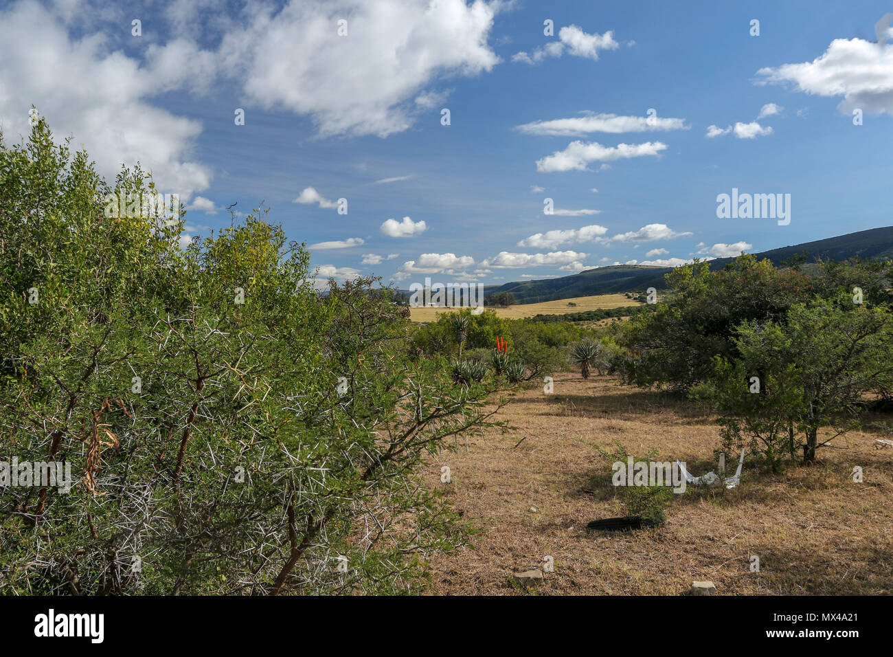 Eastern cape landscape with farmland and high cloud outside port ...