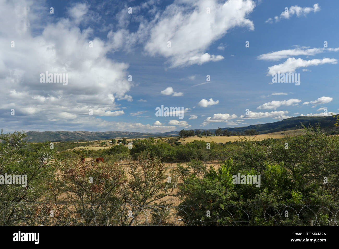 Eastern cape landscape with farmland and high cloud outside port ...