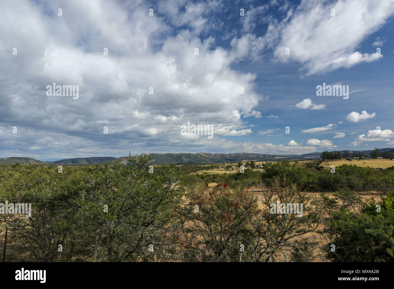 Eastern cape landscape with farmland and high cloud outside port ...