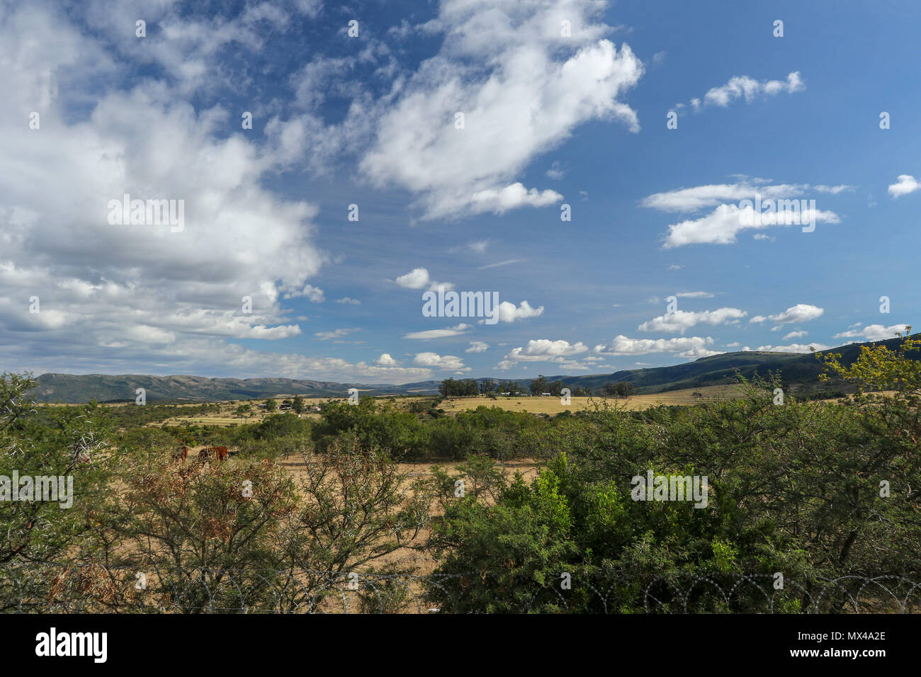 Eastern cape landscape with farmland and high cloud outside port ...