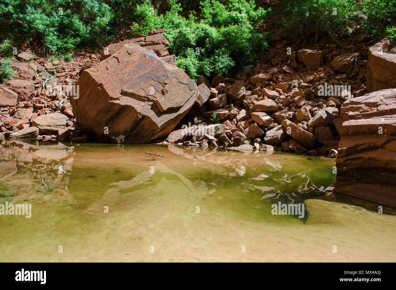 Upper Emerald Pool Zion