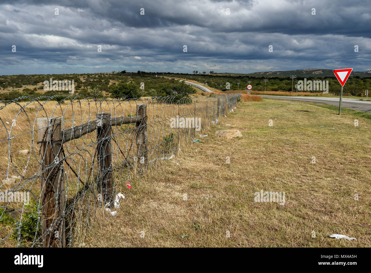 Discarded plastic bags and other plastic along a razor wire fence along ...