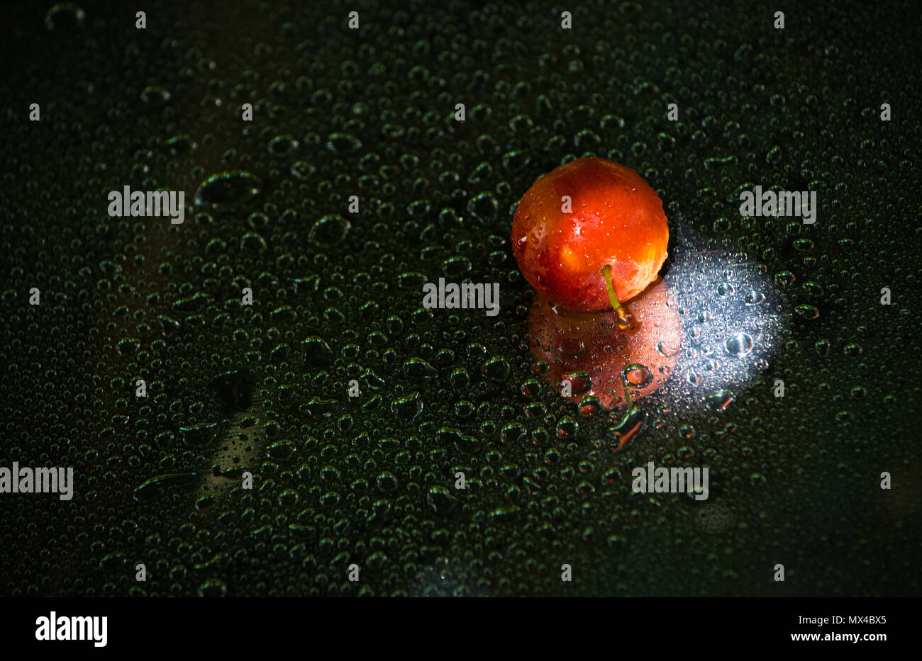 Plum garden hi-res stock photography and images - Alamy