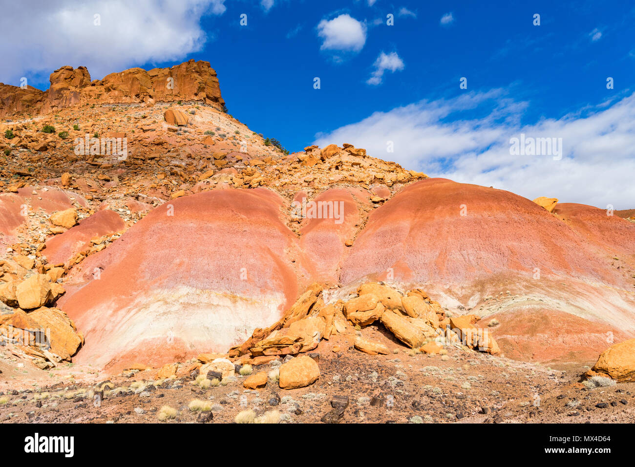 Wolverine loop road hi-res stock photography and images - Alamy