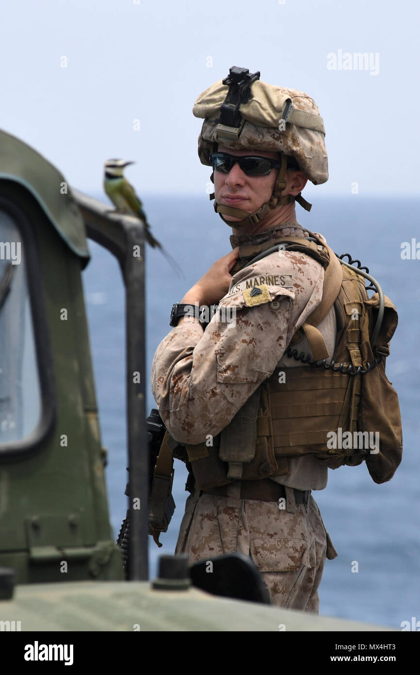U.S. 5TH FLEET AREA OF OPERATIONS (May 1, 2017) Sgt. Joshua A. Maloy ...
