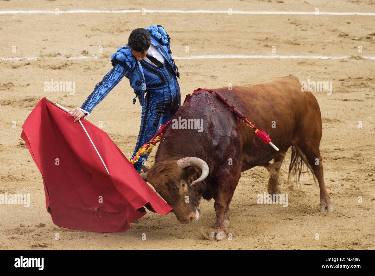 Bullfighting festival at Las Ventas bullring in Madrid, Spain ...