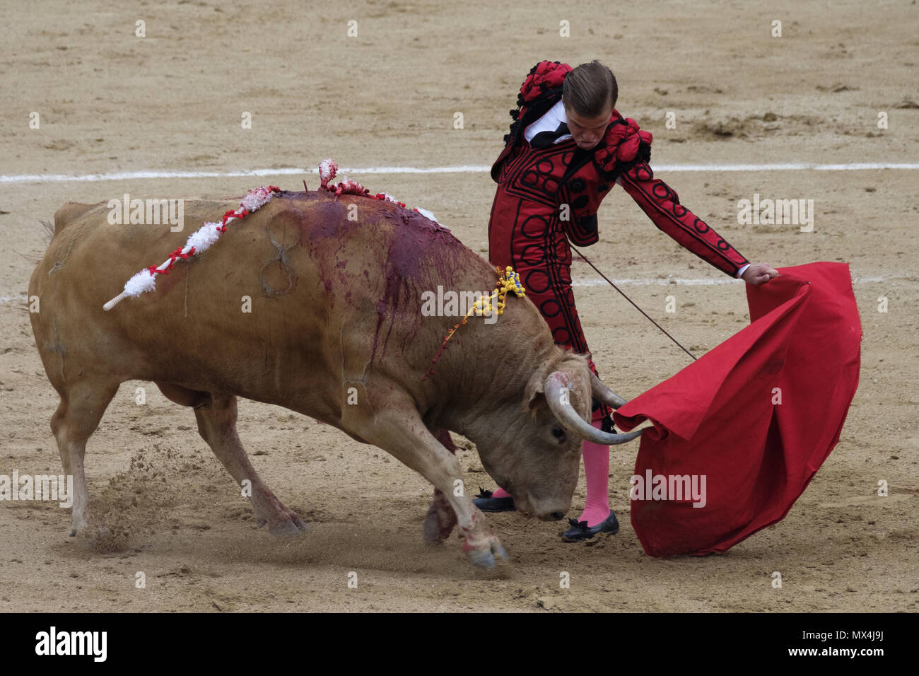 Bullfighting festival at Las Ventas bullring in Madrid, Spain ...