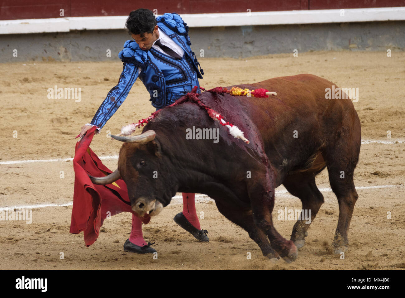 Bullfighting festival at Las Ventas bullring in Madrid, Spain ...