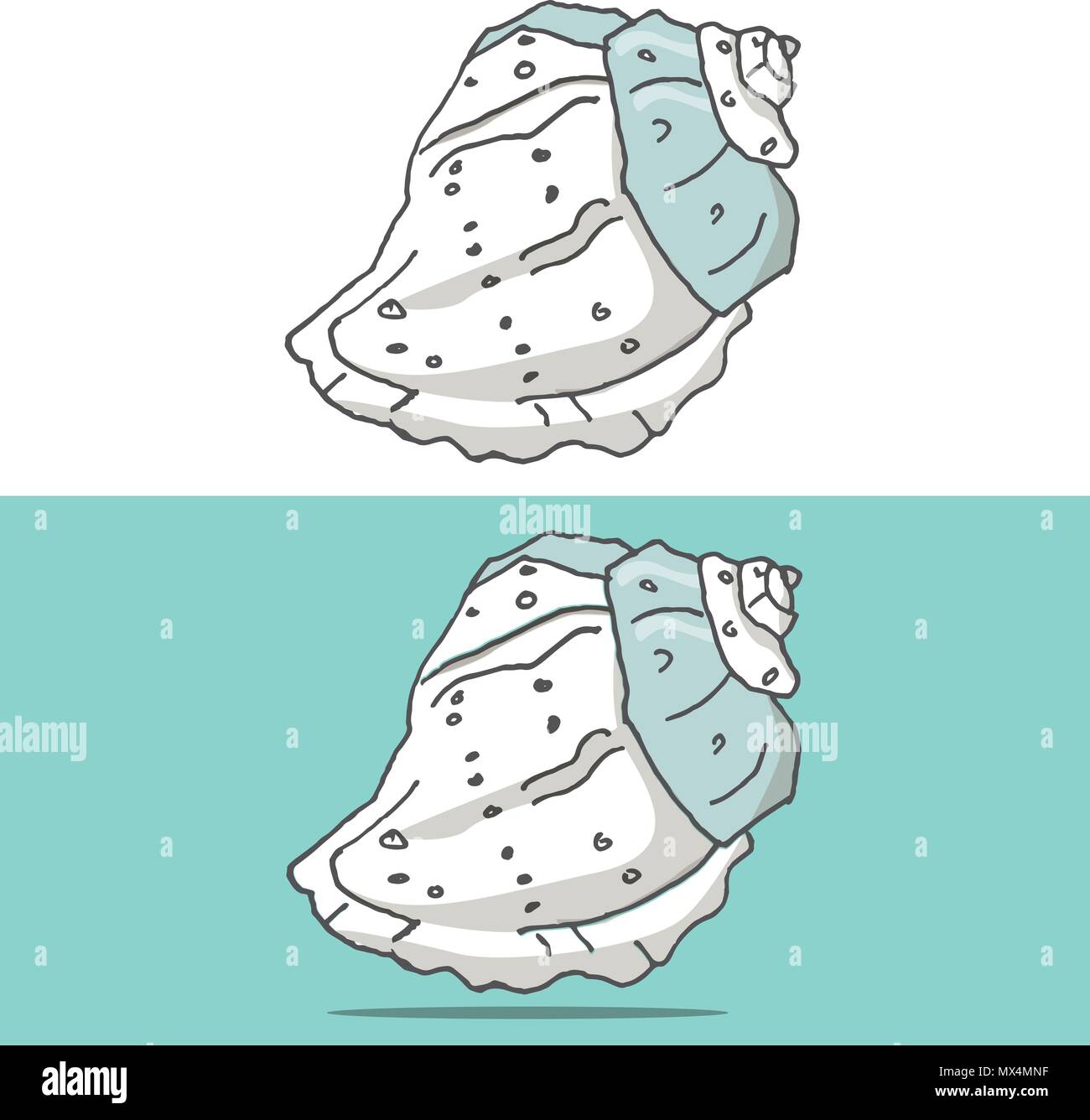 Cockleshell illustration geometric drawing shell font color element sea ...