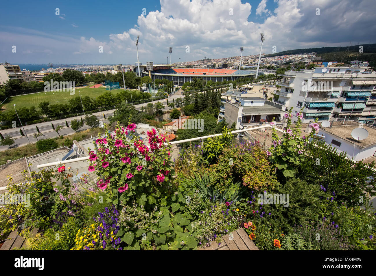 Beautiful modern terrace with a lot of flowers in Thessaloniki, Greece ...