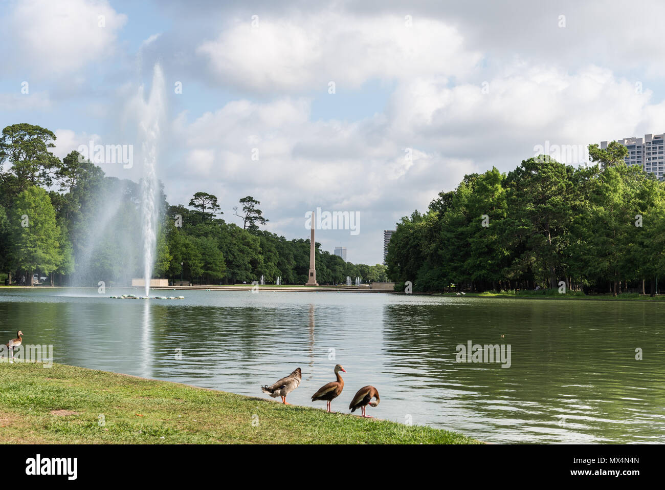 Hermann park hi-res stock photography and images - Alamy