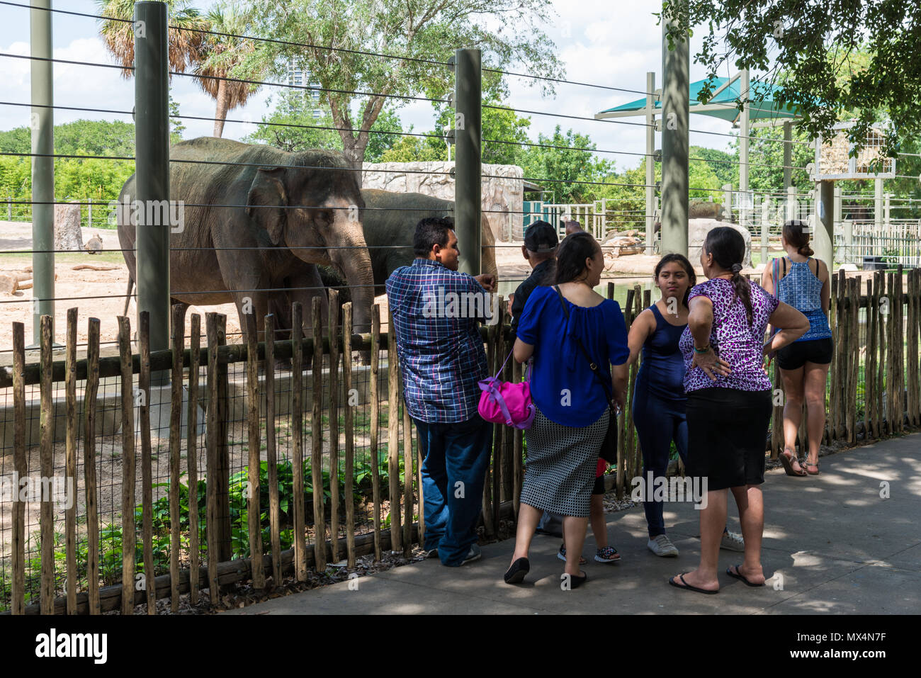 Family Of Elephants Hi Res Stock Photography And Images Alamy