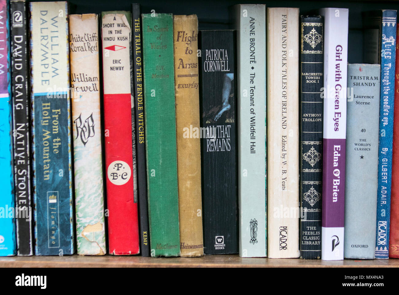 Book spines; Stacks of Bird books, shelf, book, education, library ...