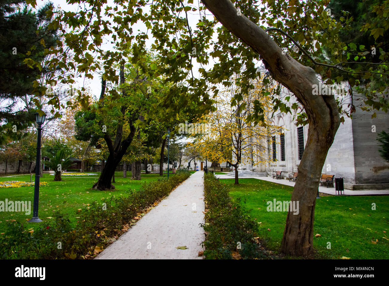Long path and trees in the courtyard of the Sehzade mosque Stock Photo ...