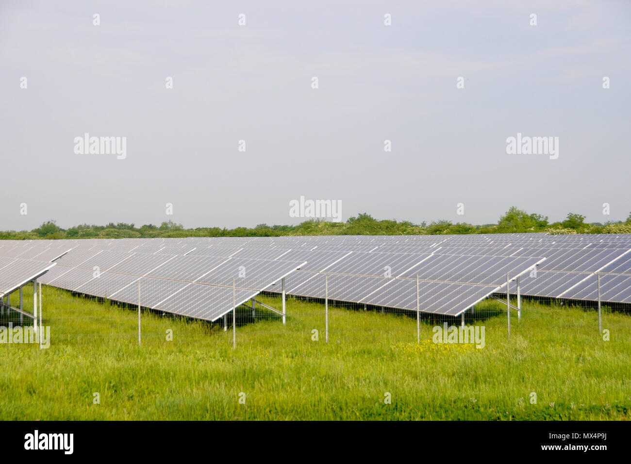 Solar panels in the power plant for renewable energy Stock Photo - Alamy