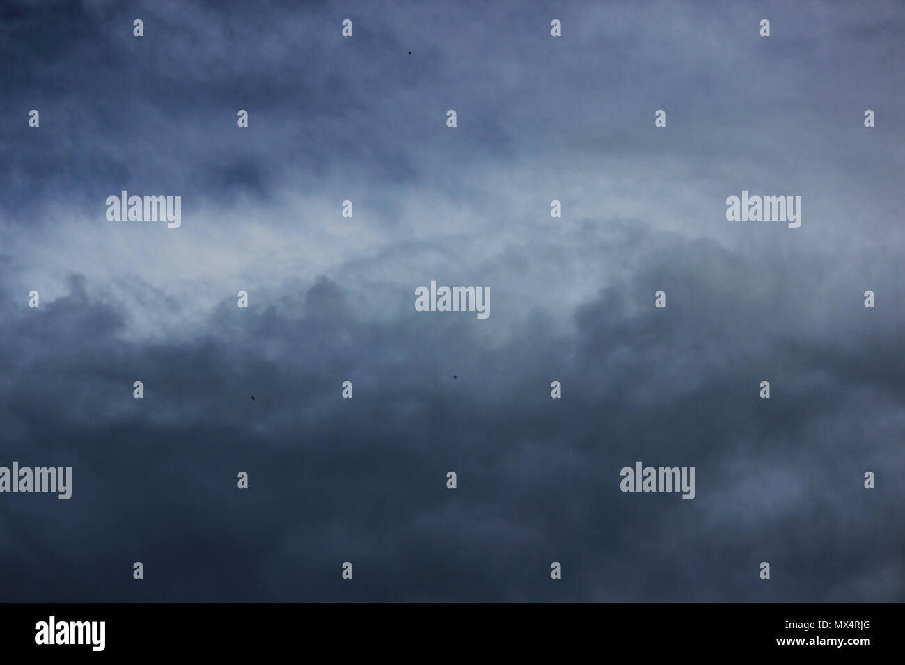 A stormy summer cloud of dark blue color carries a heavy downpour Stock ...