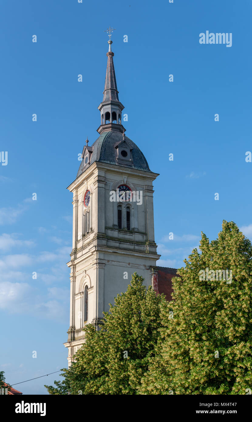 Church tower with clock, St. Bartholomew's church in Slovenska Bistrica ...
