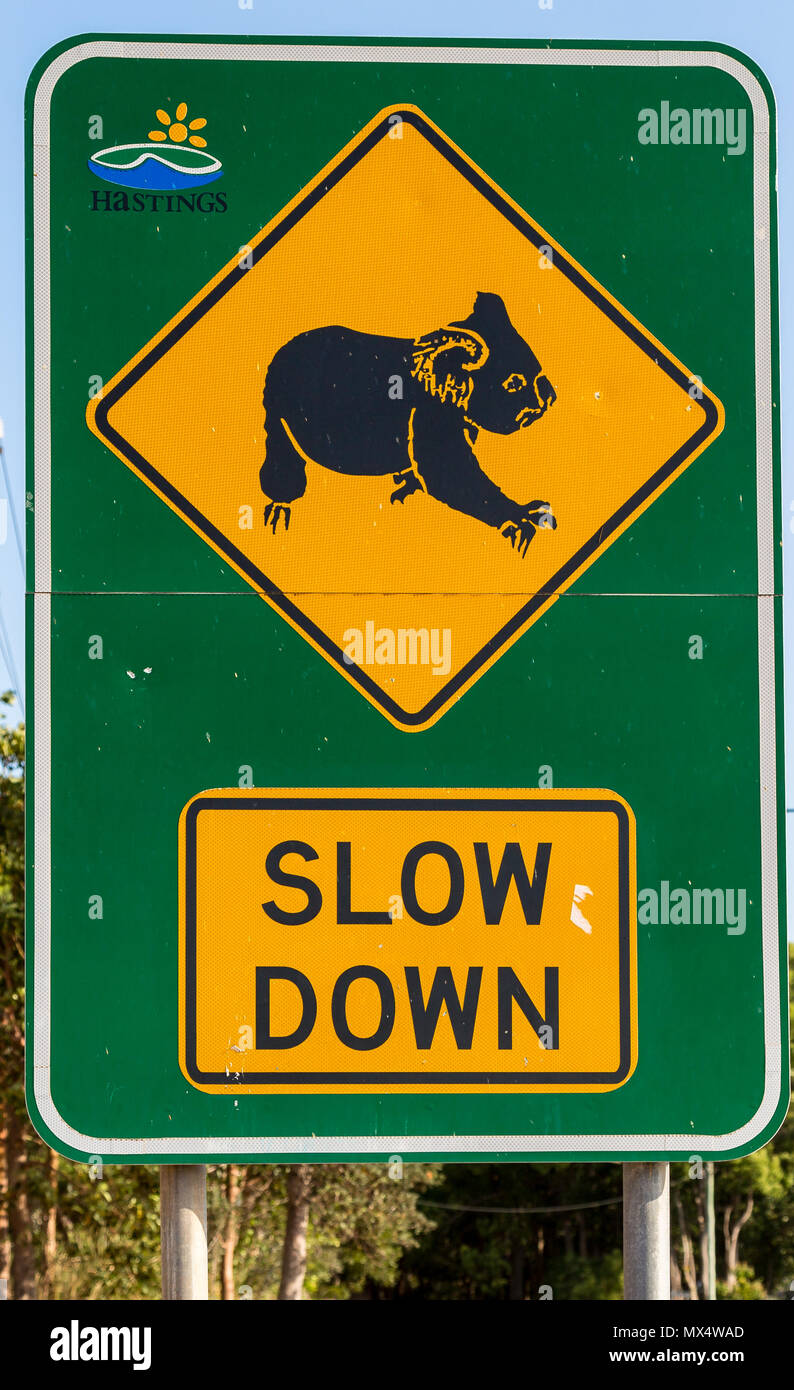 Koala warning signs hi-res stock photography and images - Alamy