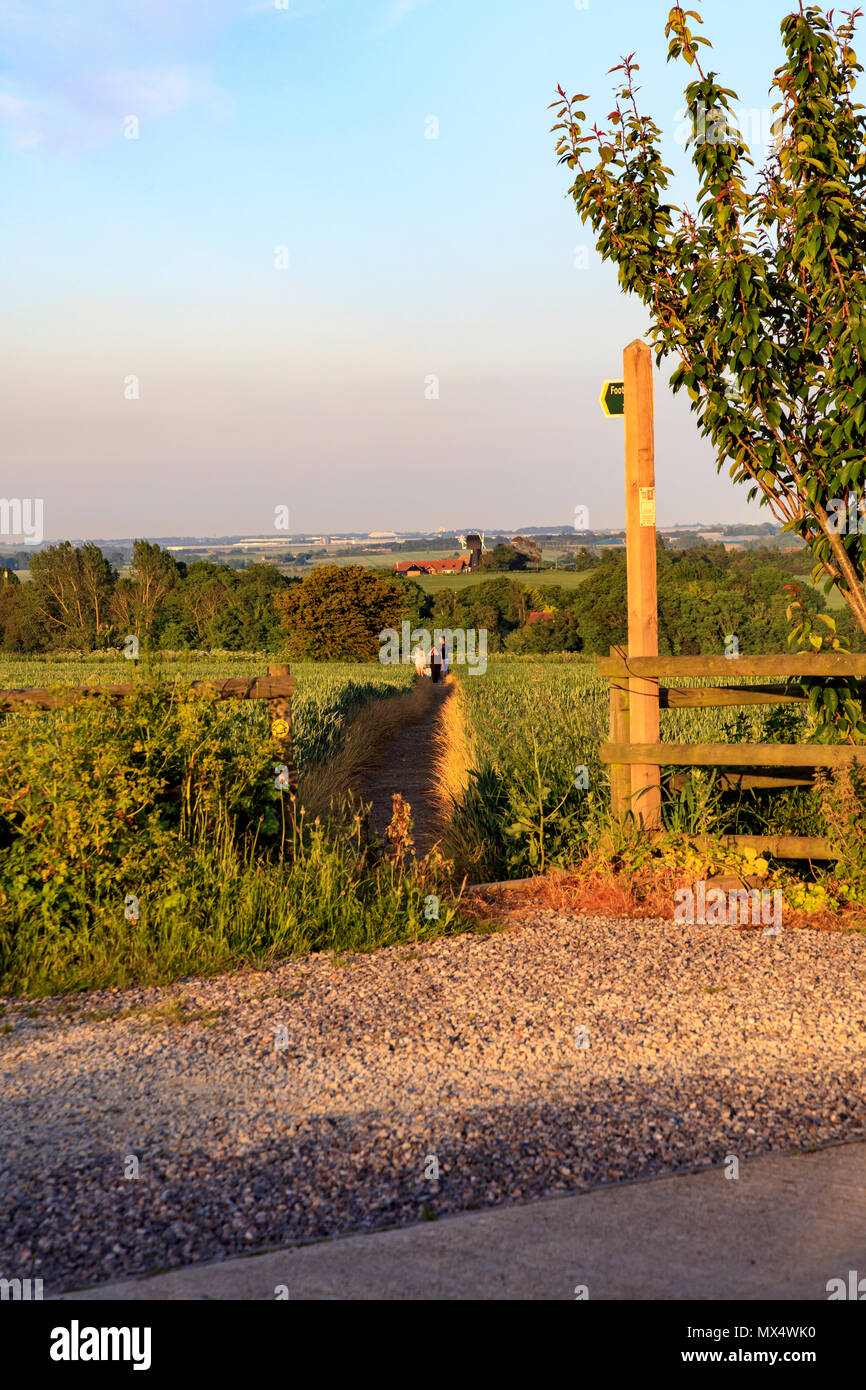 A family walk a footpath near Reculver in Kent, the warm evening light ...