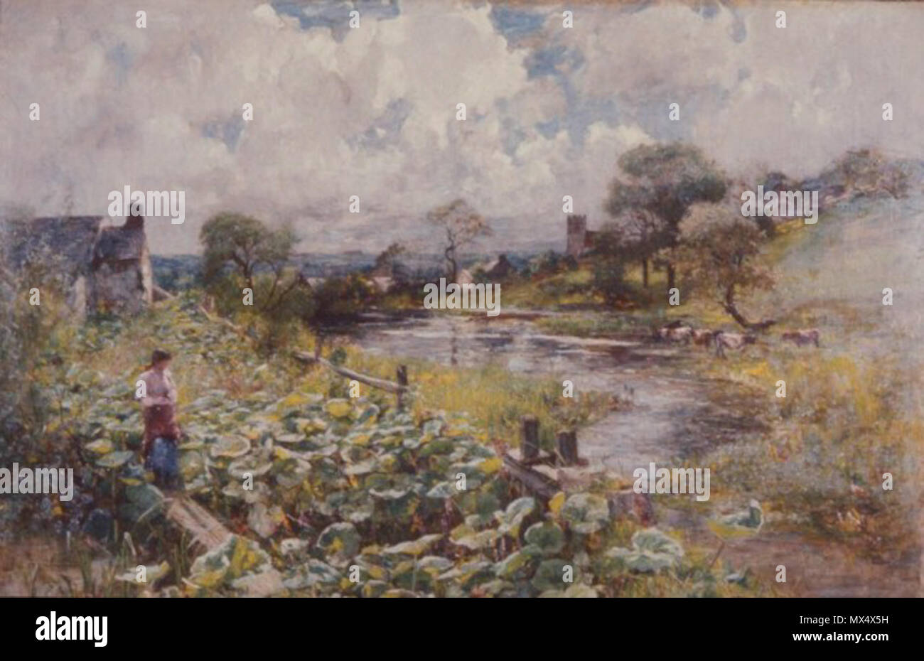 June by Joshua Anderson Hague 264 Hague Spring Stock Photo - Alamy