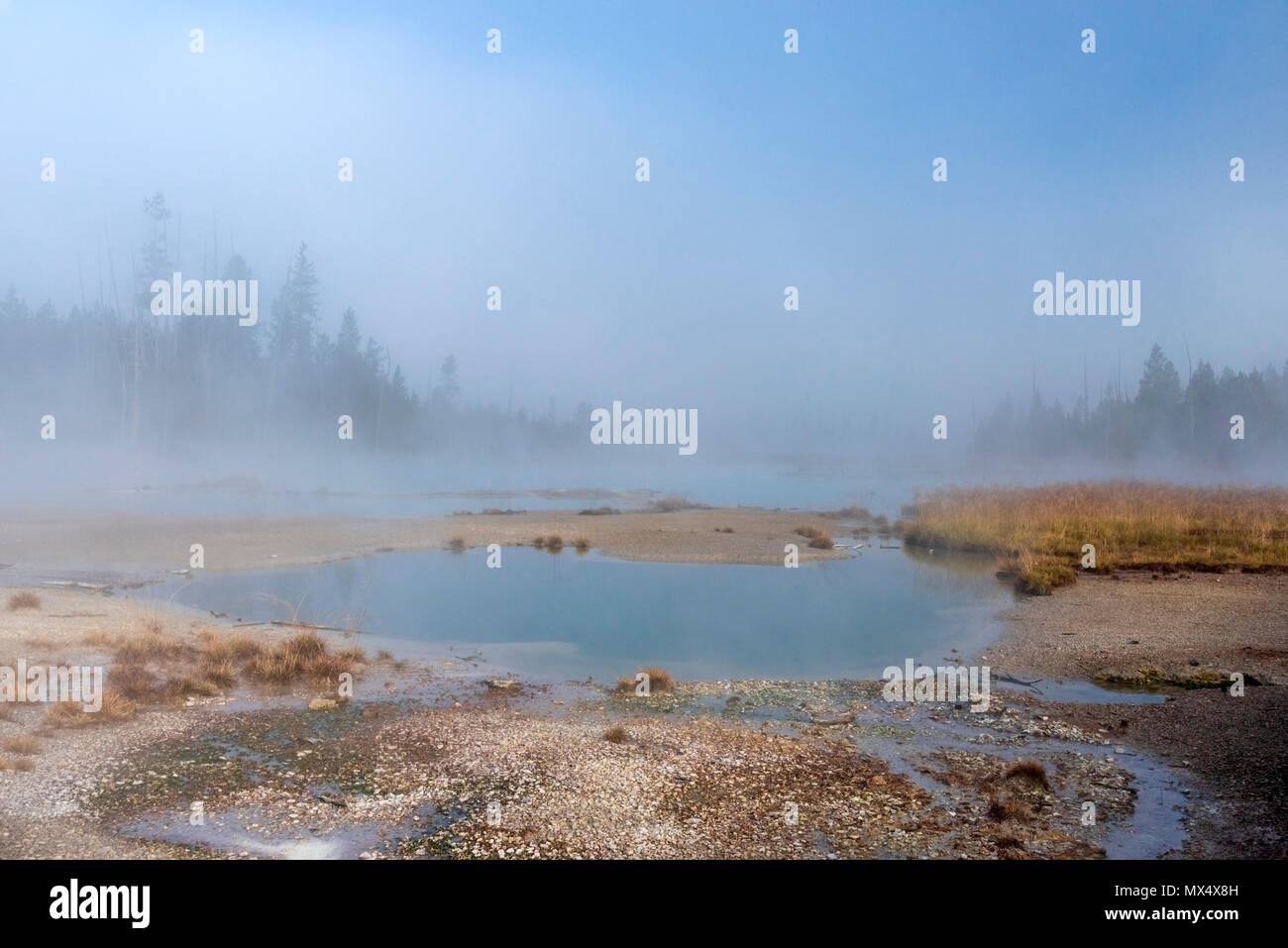 Geothermal hot spring with fog and steam and trees in the background ...