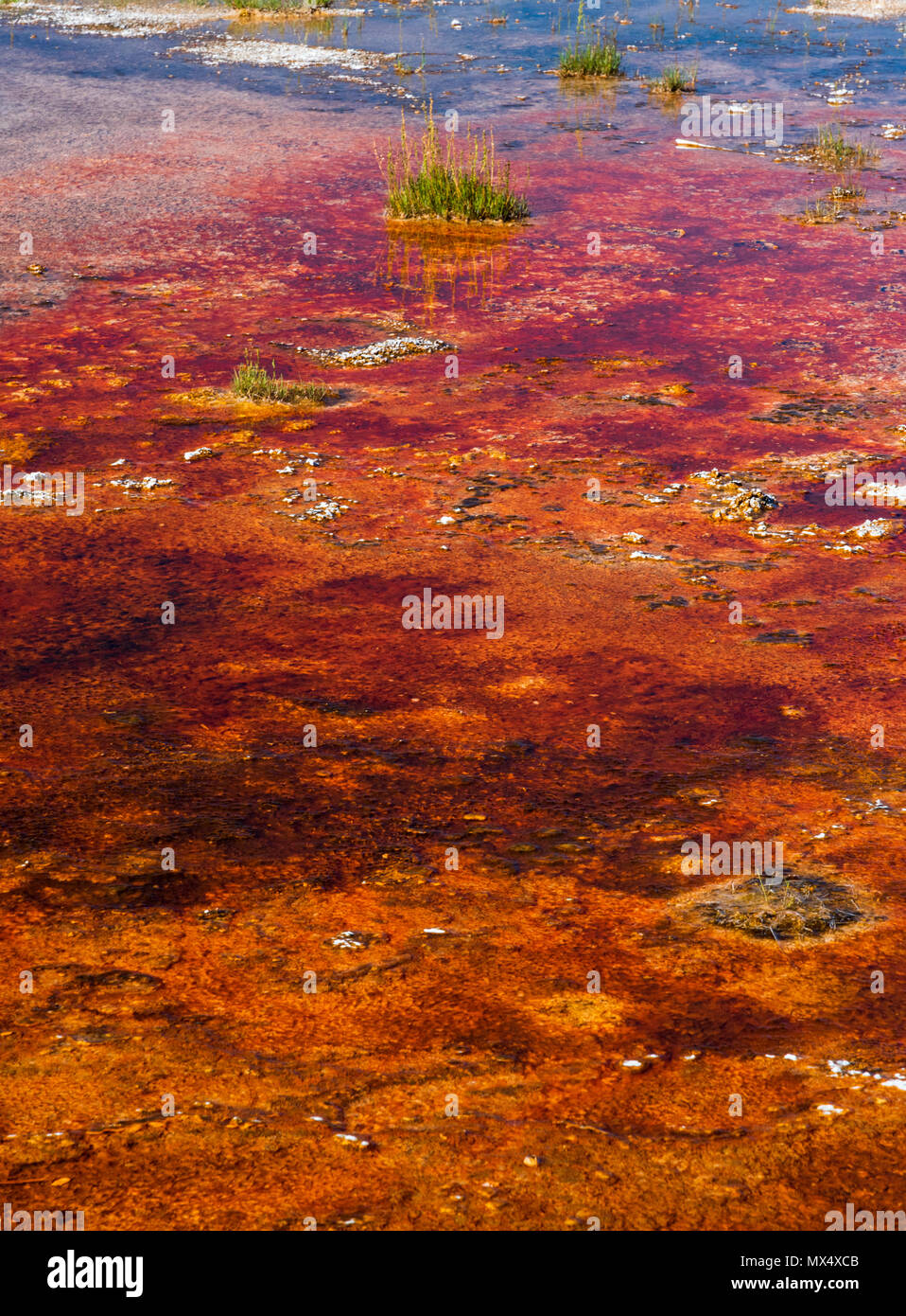 Red hot spring hi-res stock photography and images - Alamy