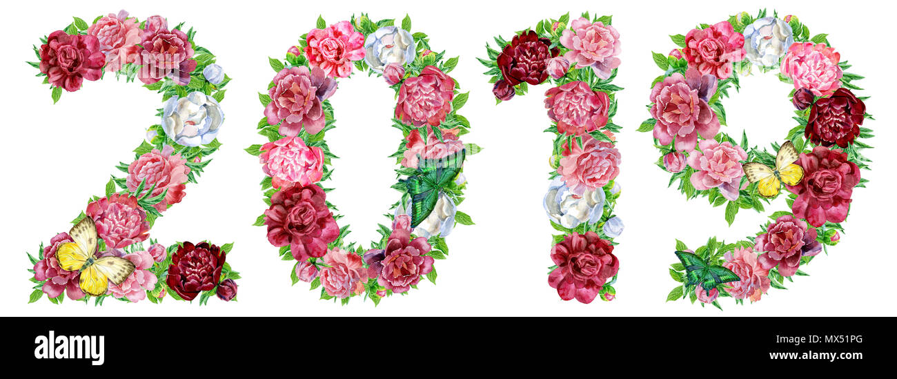 Number 2019 of watercolor flowers, isolated hand drawn on a white ...