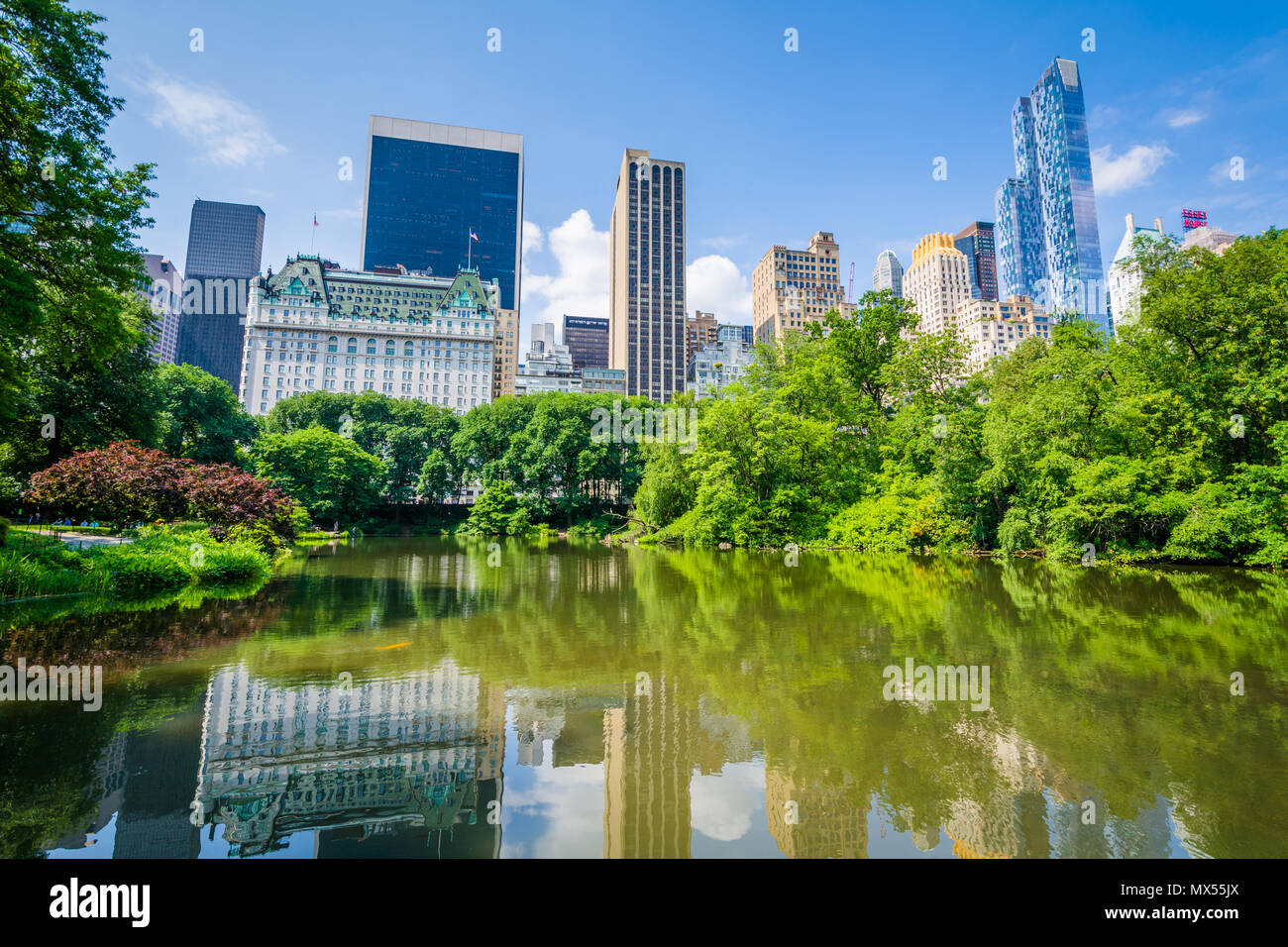 The Pond, in Central Park, Manhattan, New York City Stock Photo - Alamy