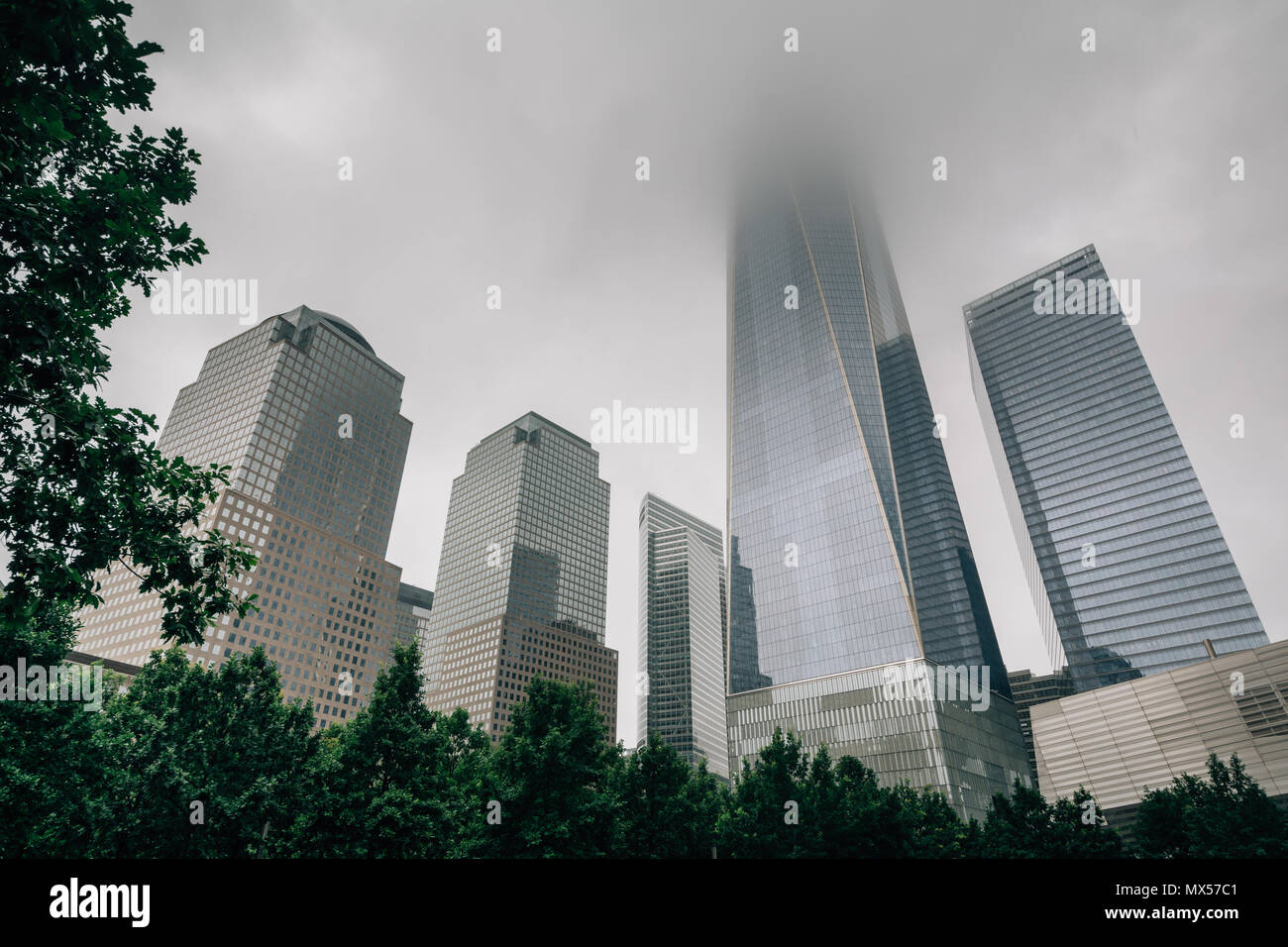 The World Trade Center in fog, in Lower Manhattan, New York City Stock ...