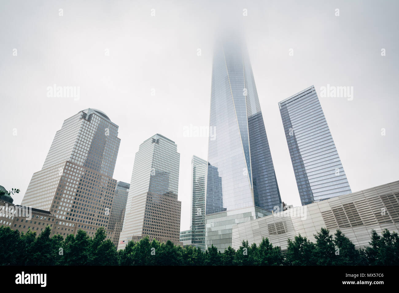 The World Trade Center in fog, in Lower Manhattan, New York City Stock ...