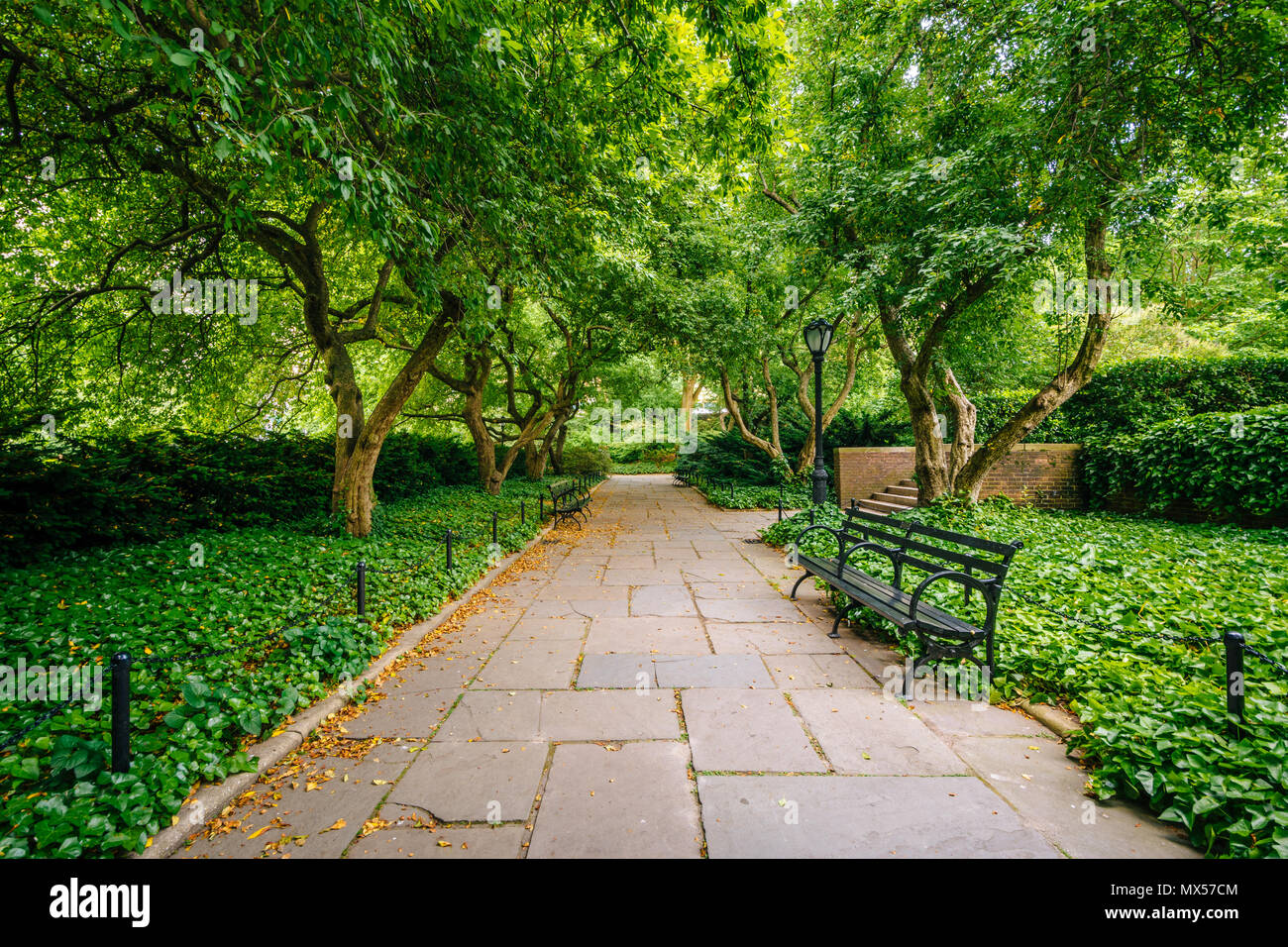 Perspective tree lined walkway hi-res stock photography and images - Alamy