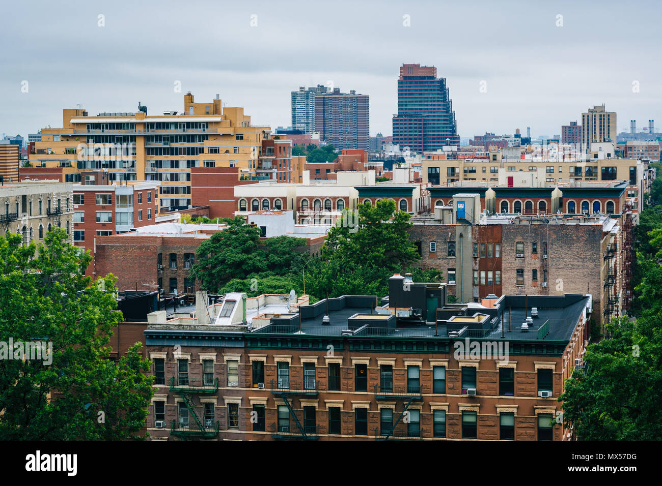 View of Harlem from Morningside Heights, in Manhattan, New York City ...
