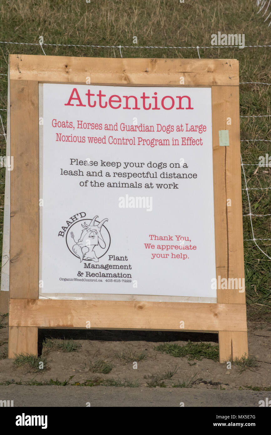 Noxious weeds hi-res stock photography and images - Alamy