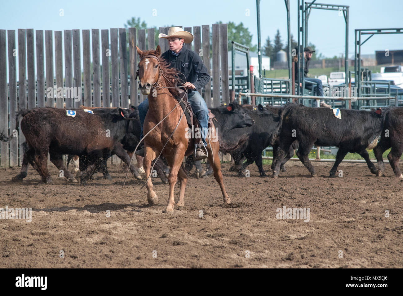 Carstairs hi-res stock photography and images - Alamy