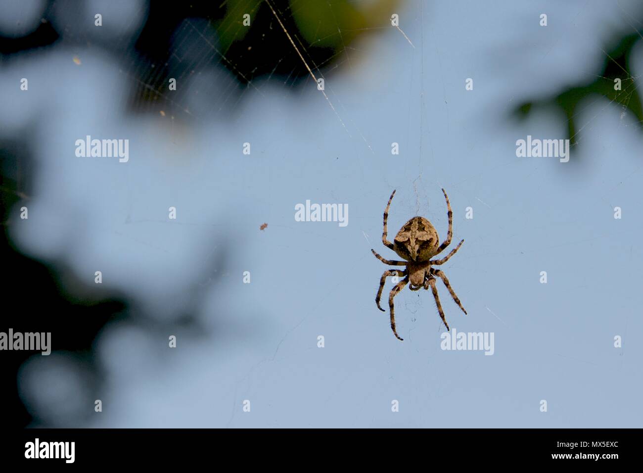 In attica hi-res stock photography and images - Alamy