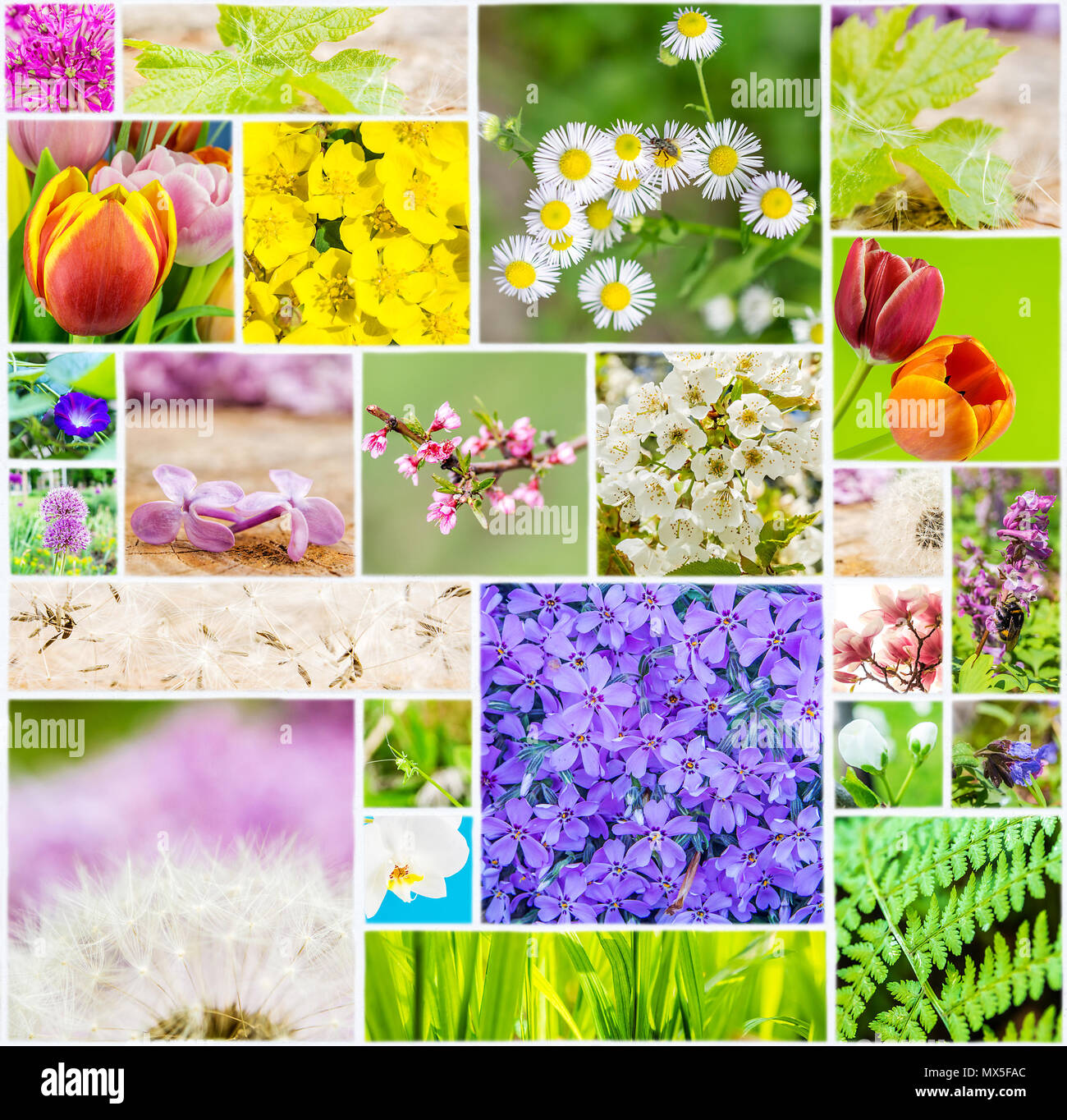 collage of flowers and animals of spring time on white ceramic mosaic ...