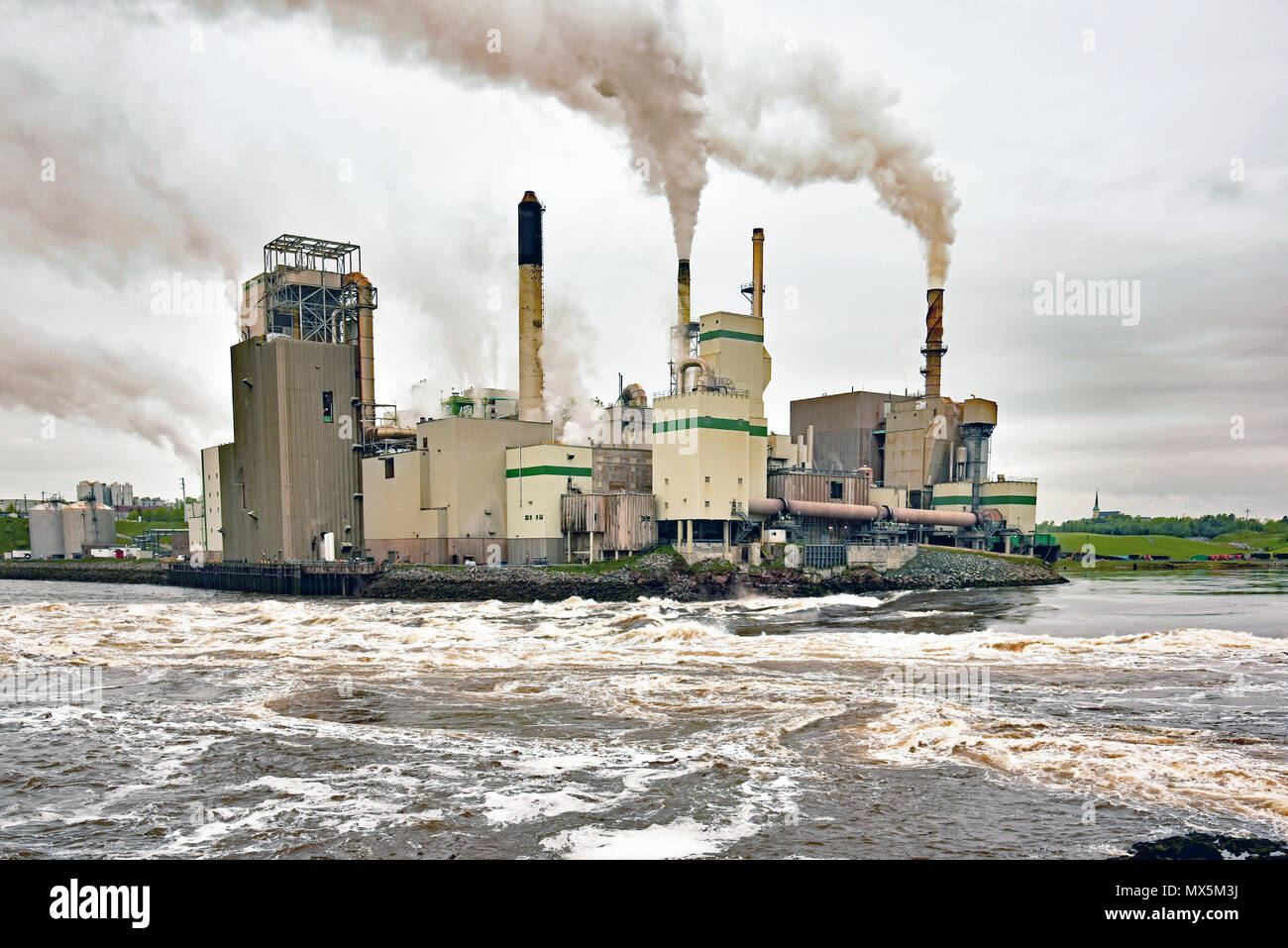 Pulp and paper industry hi-res stock photography and images - Alamy