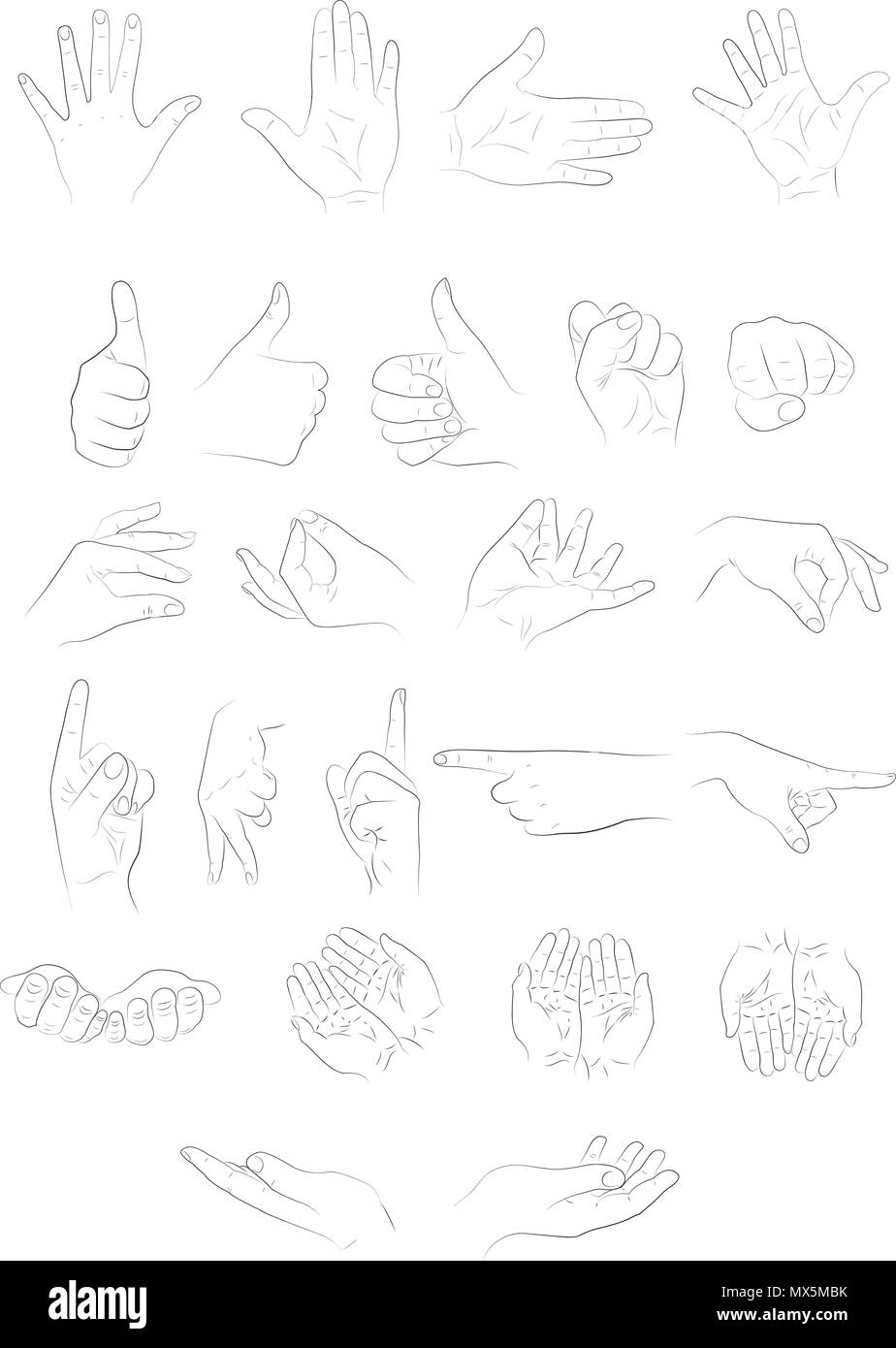 illustration of different hand positions. line art Stock Vector Image ...