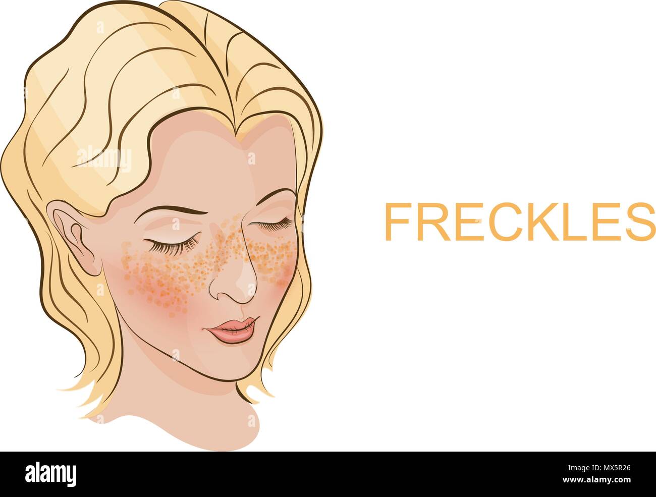 illustration of the face of a young woman with freckles, Brightener ...