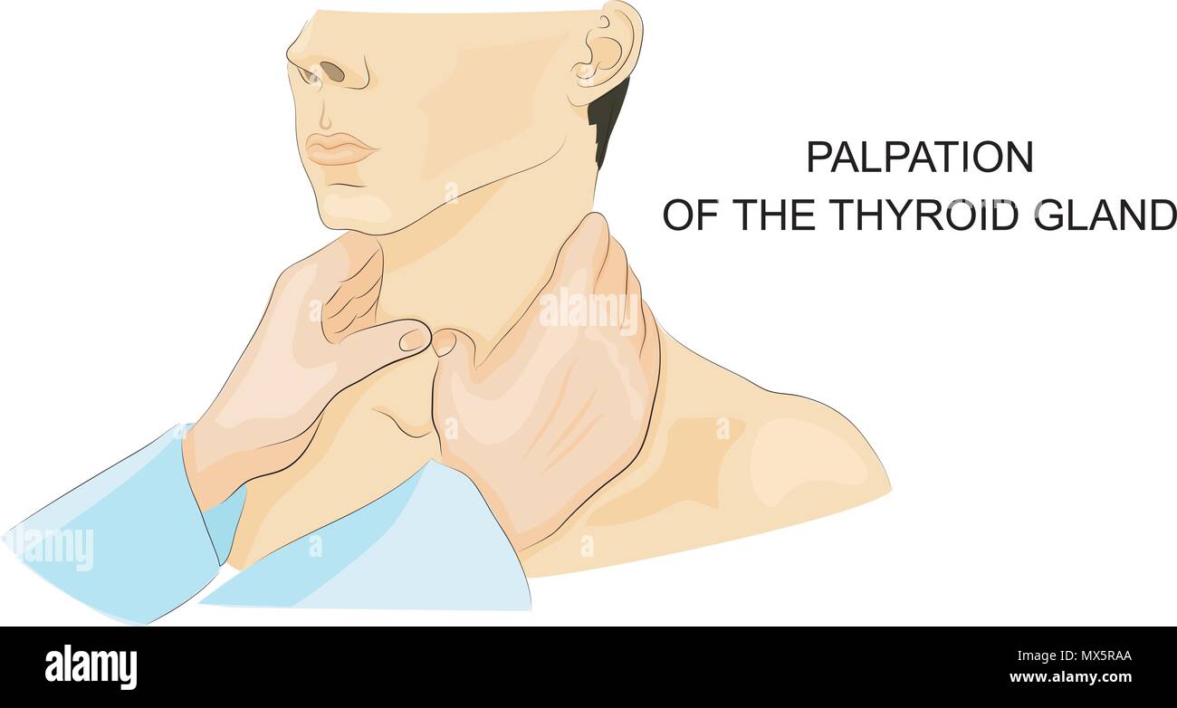 Palpation hi-res stock photography and images - Alamy