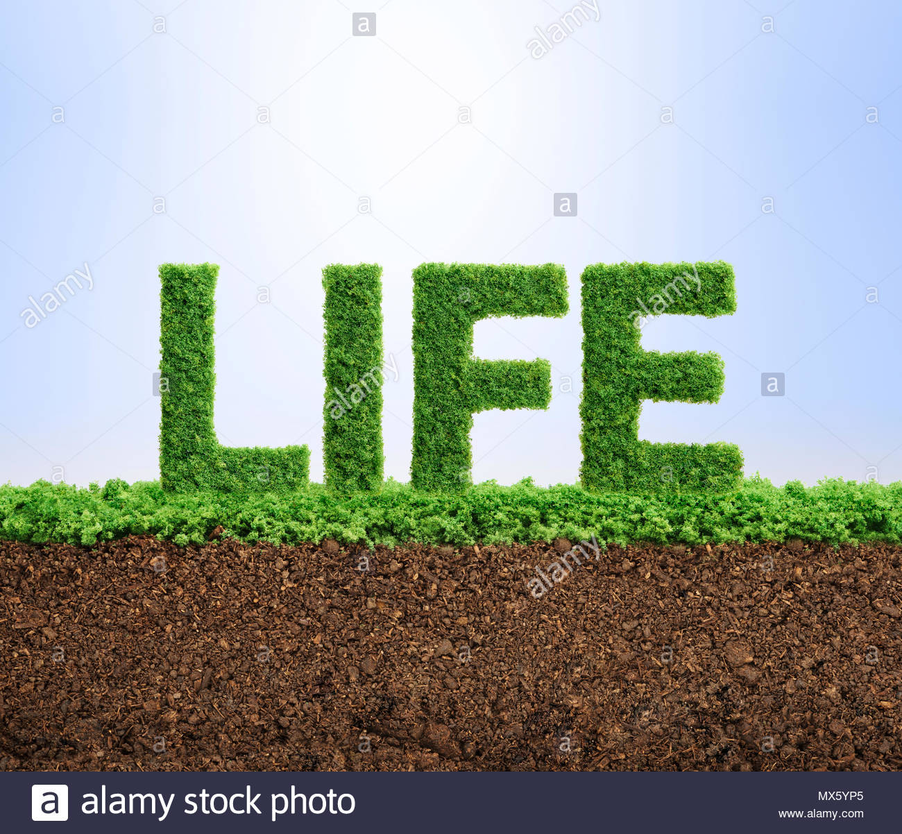 Elixir Of Life Stock Photos & Elixir Of Life Stock Images - Alamy