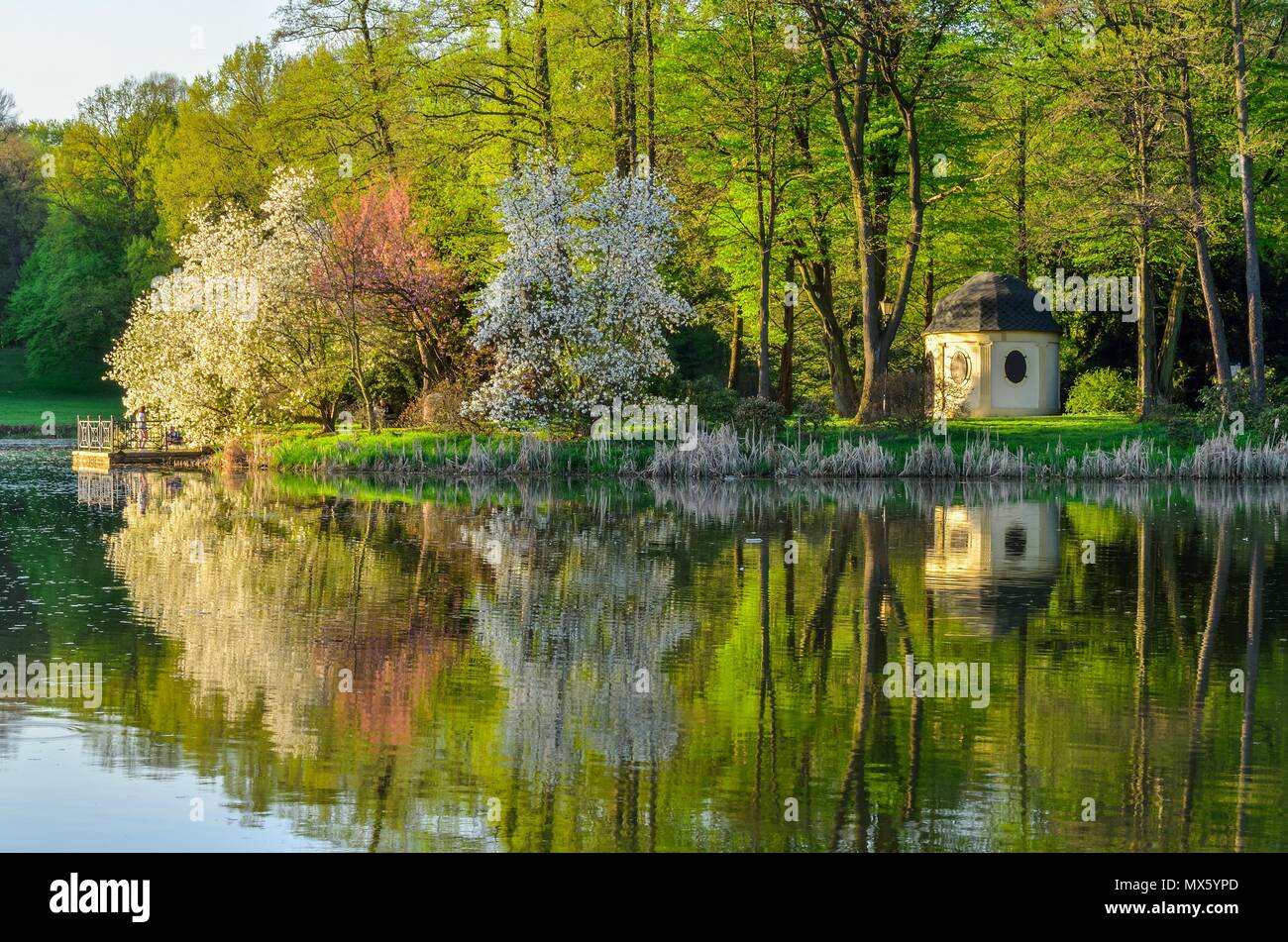 Pond spring branch hi-res stock photography and images - Alamy