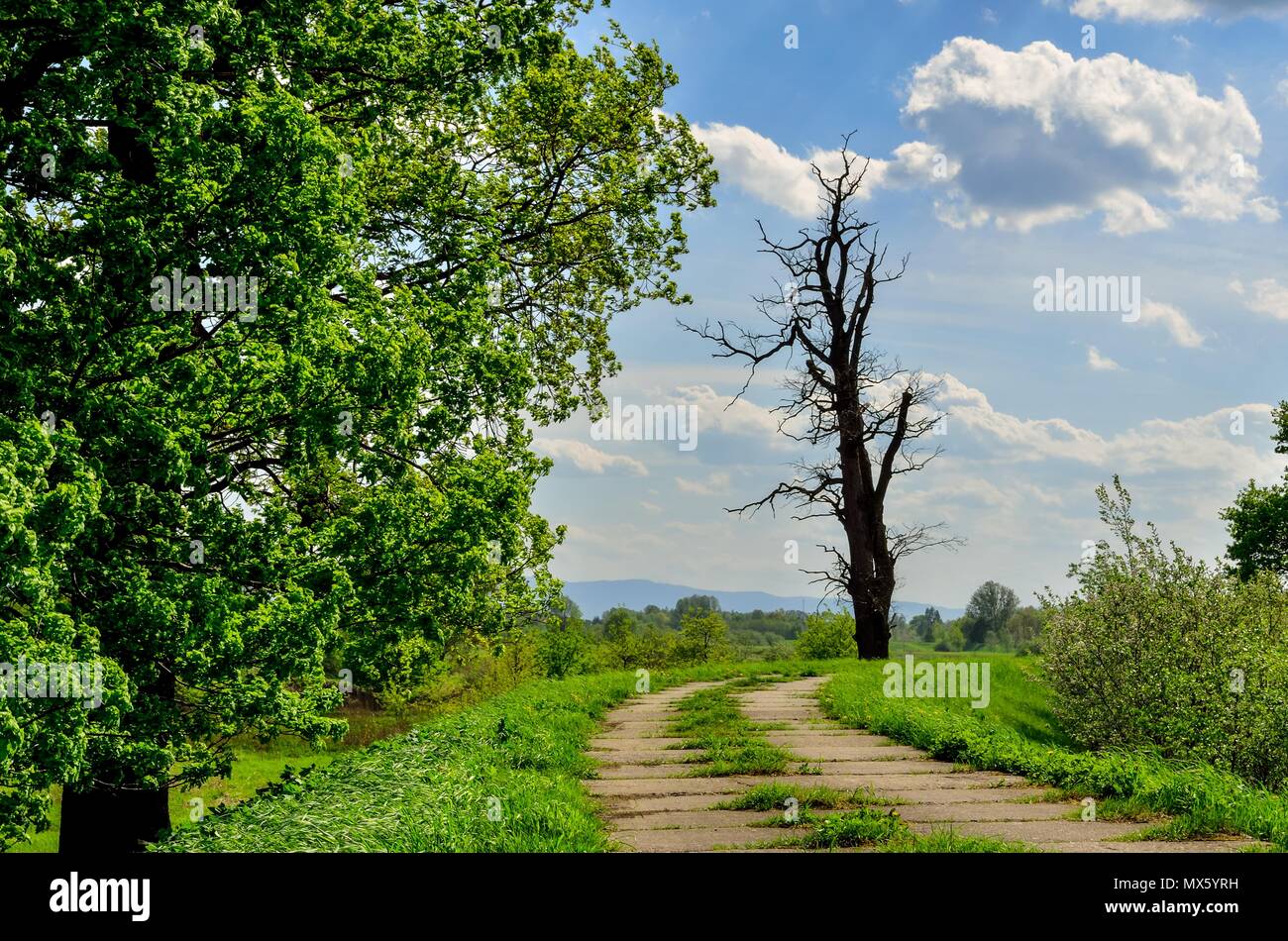Beautiful spring landscape. Concrete road in the countryside Stock ...