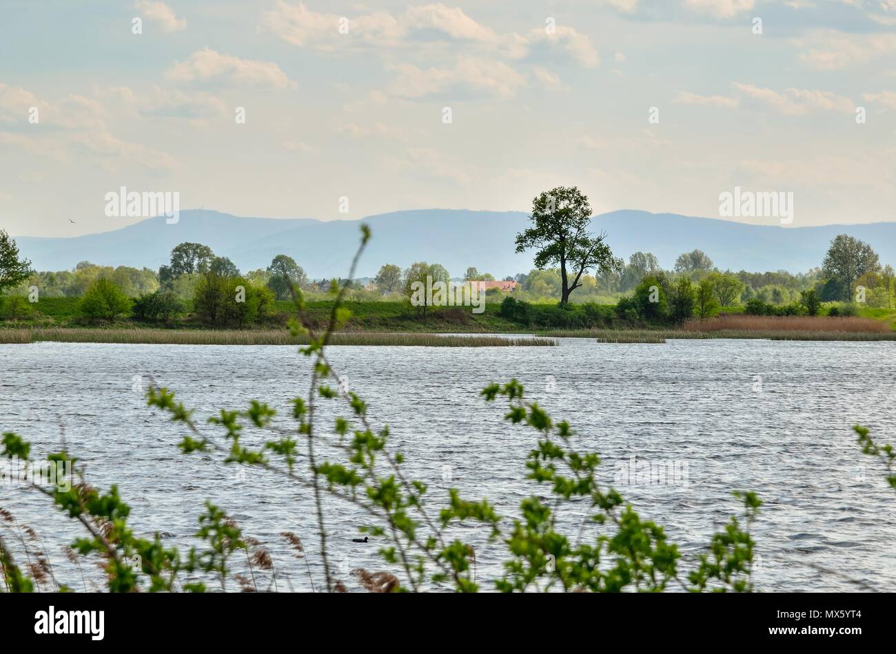 Beautiful rural landscape. Spring day over a beautiful pond Stock Photo ...