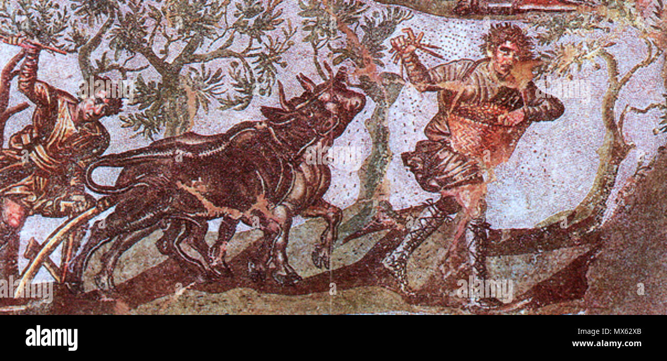 Mosaic cherchel algeria hi-res stock photography and images - Alamy