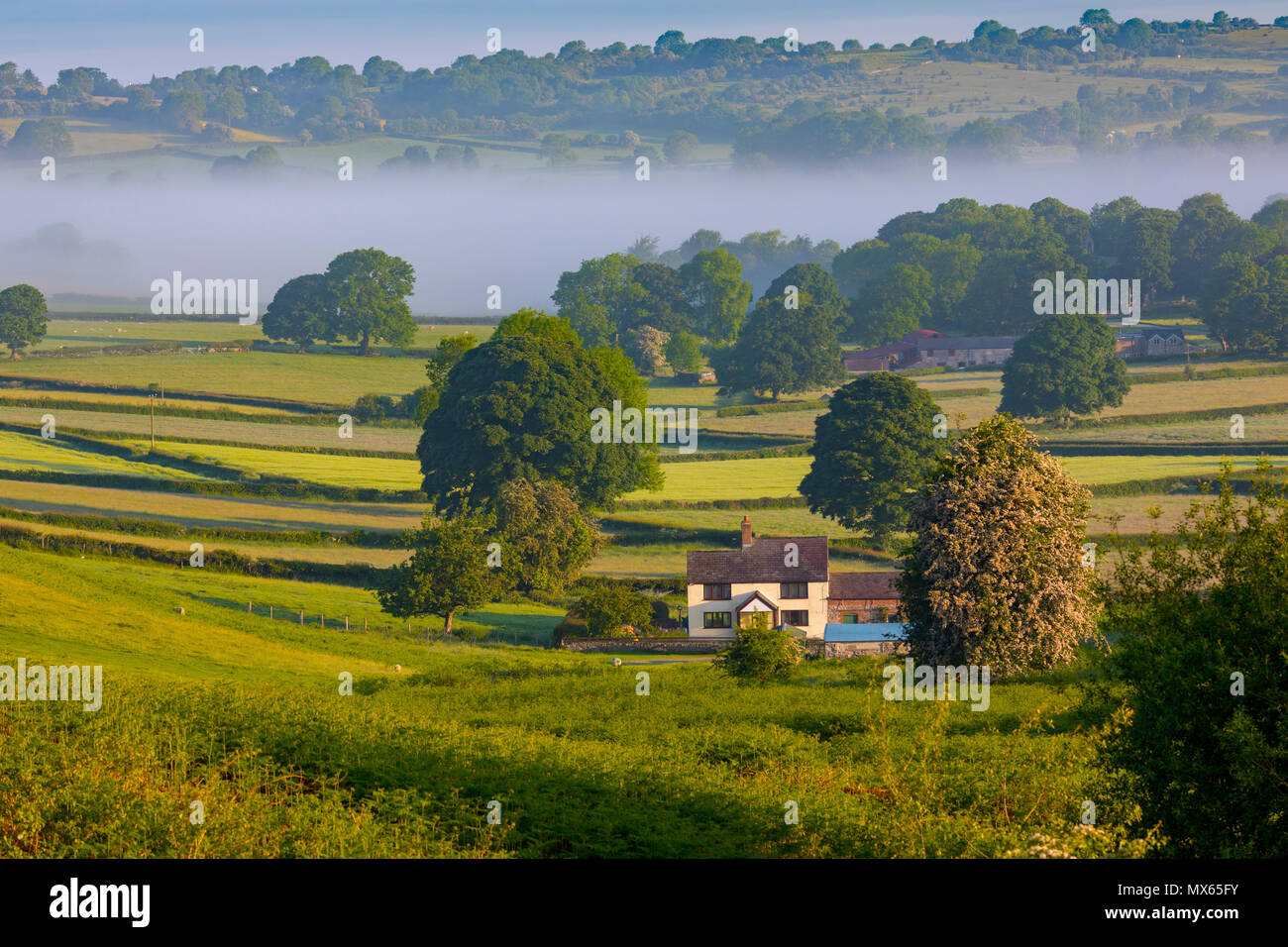 Rhes Y Cae Stock Photos & Rhes Y Cae Stock Images - Alamy