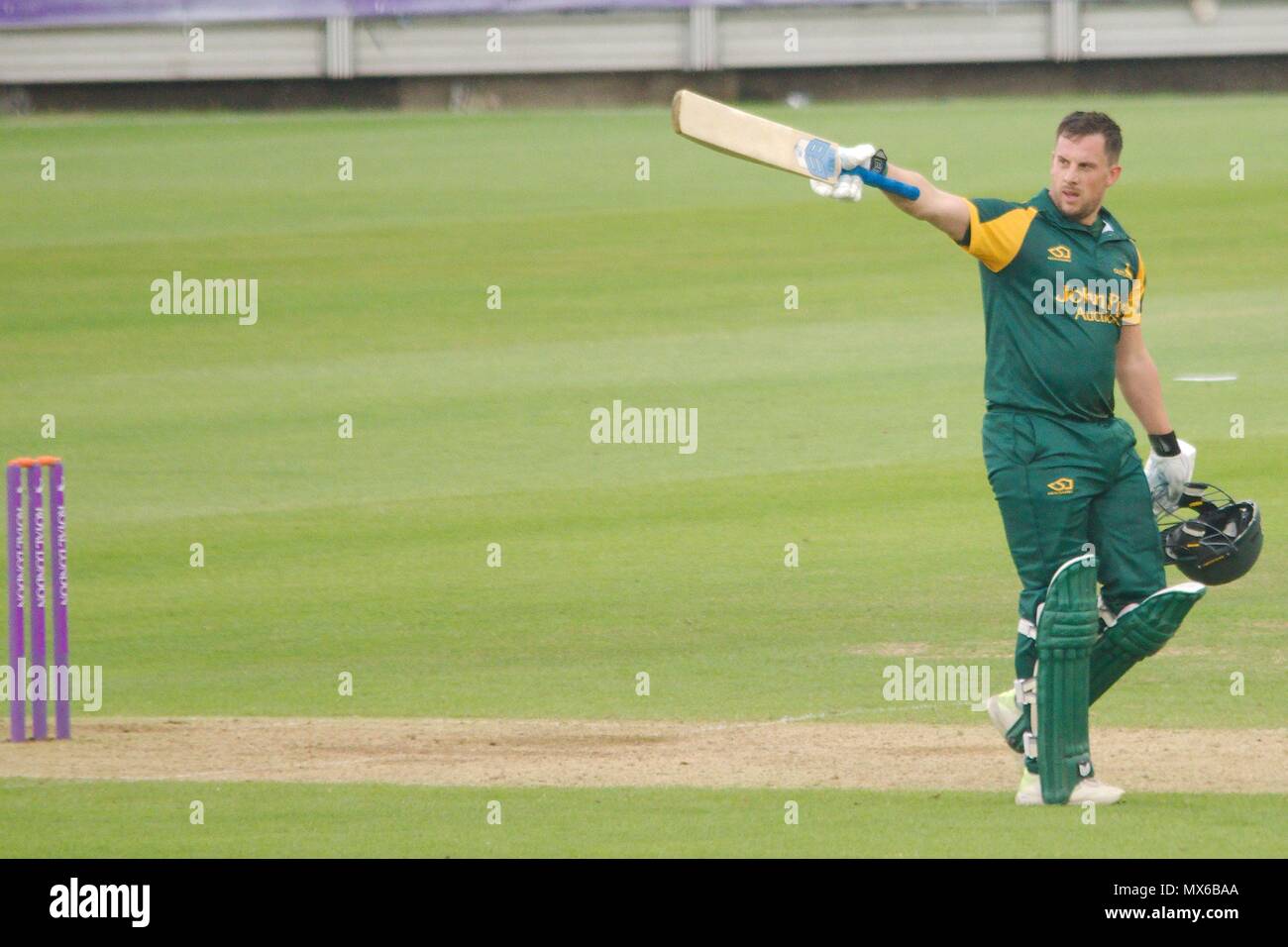Cricket batsman raising bat hi-res stock photography and images - Alamy