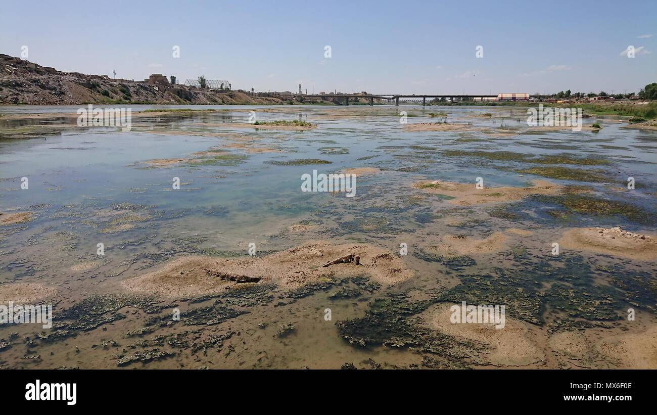 Al janabi hi-res stock photography and images - Alamy