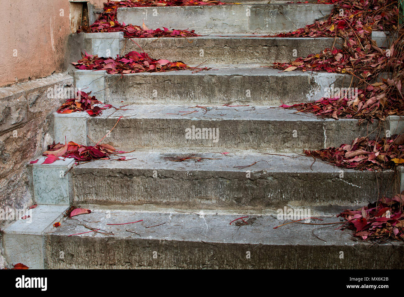Red leaves on steps hi-res stock photography and images - Alamy